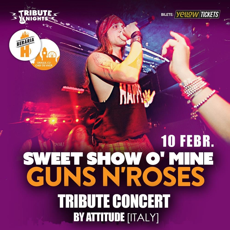 Bilete la Stelu Enache & Band